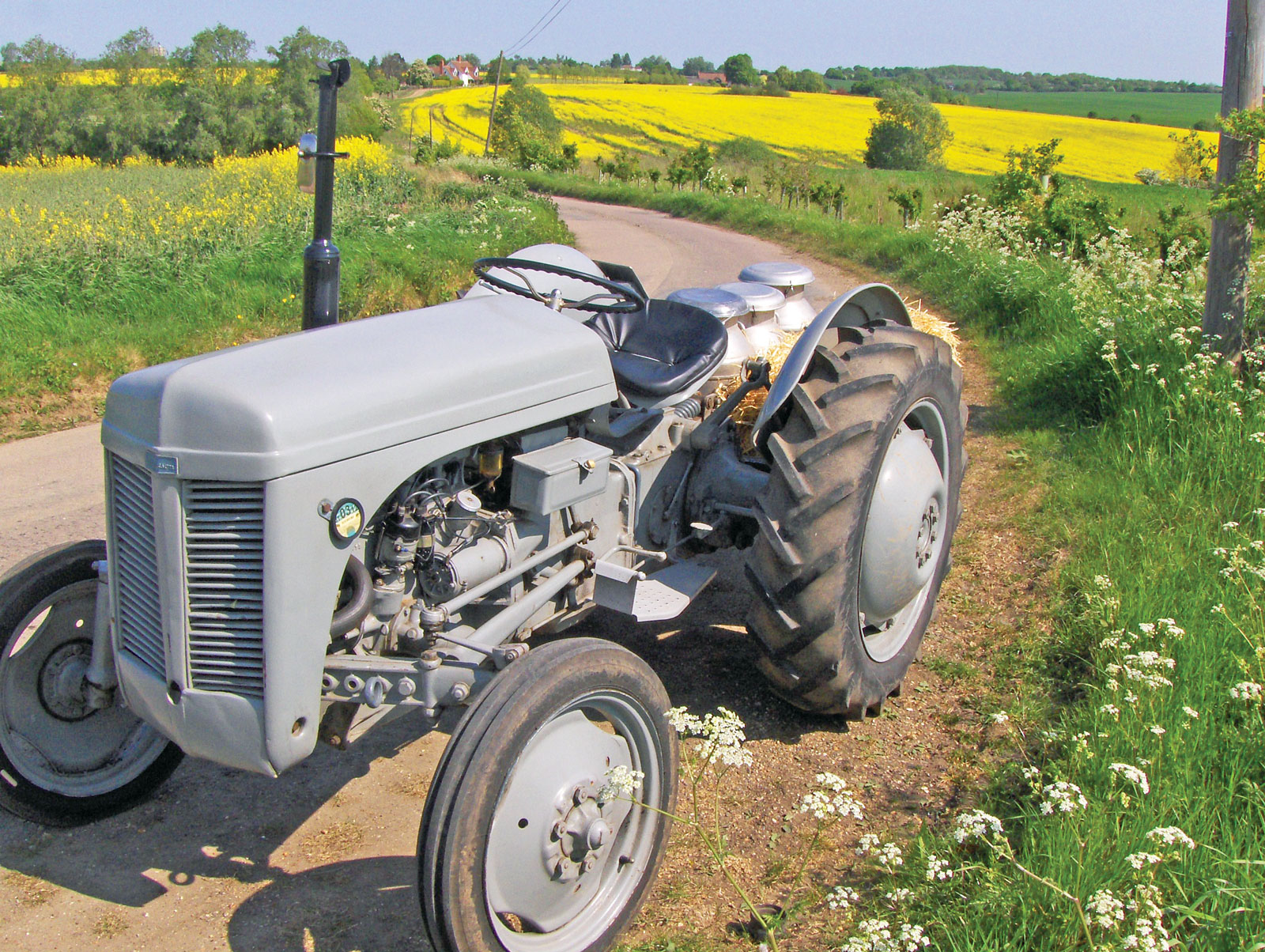 Celebrating the Fantastic Fergie - Farm Collector